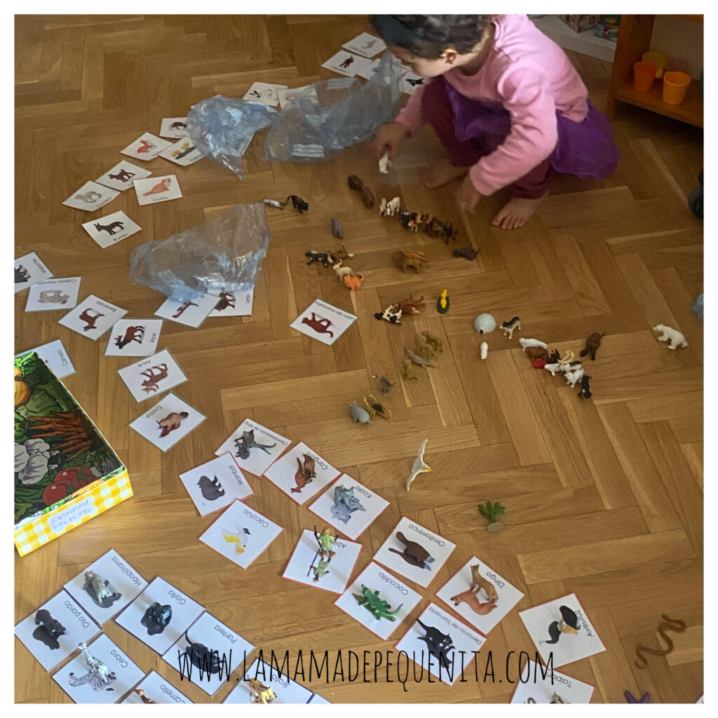 Tarjetas tres partes de animales del desierto de Safari Ltd. | La mamá ...